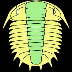 Best free topographic map apps for Android and iPhone - 2023